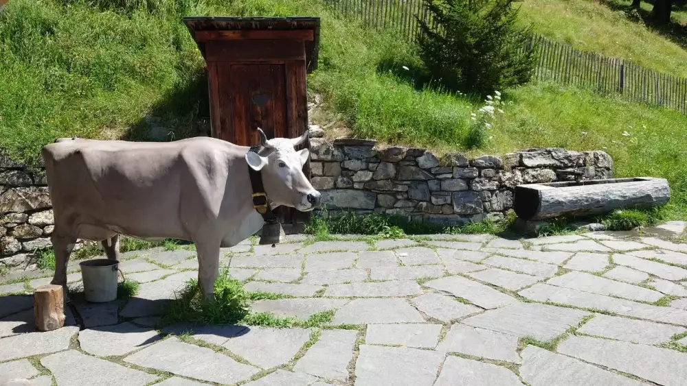 Heidi World Family Excursion: Basel to Pardiel’s Magic