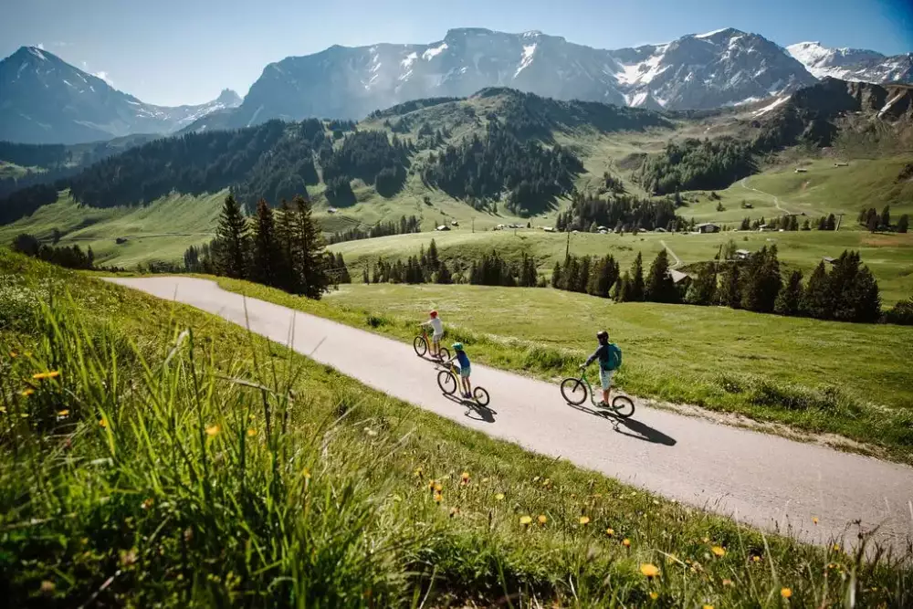 Trotti-bike and Hiking in Adelboden from Basel
